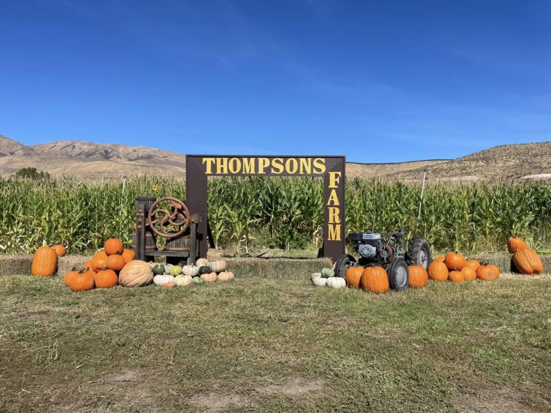 Home - Thompsons Farm & Market